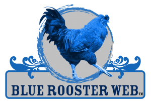 blue-rooster-logo - Affordable Digital Marketing Agency Binghamton